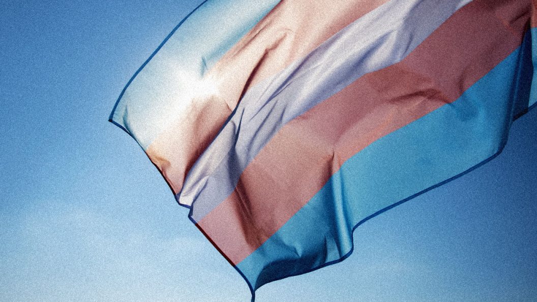 Rory Finn – LGBTQ+ Affirmative Practice Training